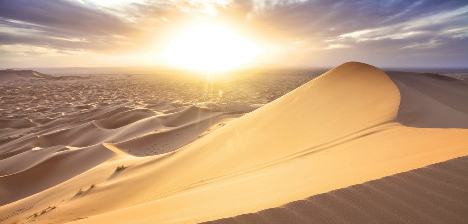 Sun Lotions | Sunscreen And After Sun - Jtree – the JTree Life